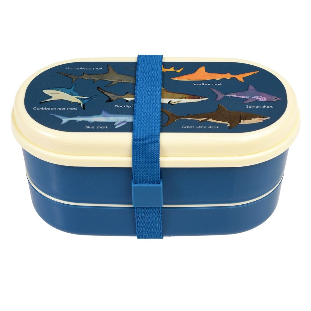 Bento-Box "Sharks" – Shoppen Im Kaufrausch